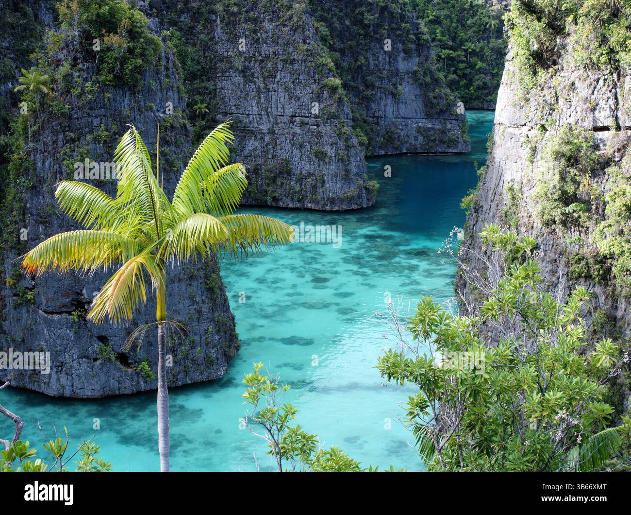 Bal Bulol Lagoon in Raja Ampat, West Papua, Indonesia Stock Photo - Alamy