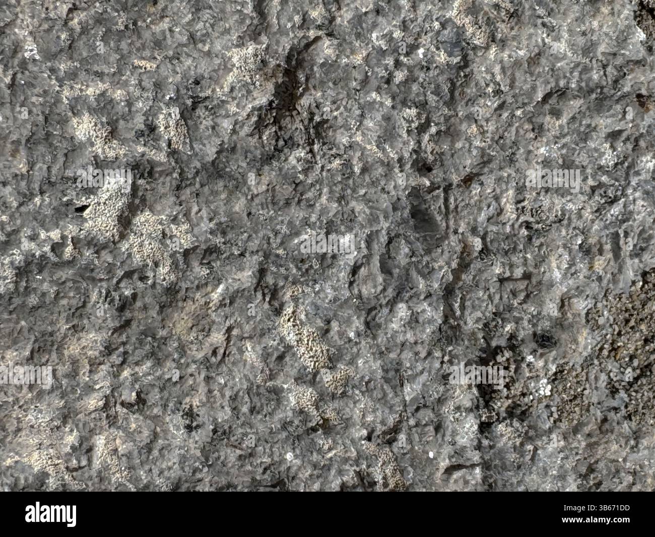 Textured surface features pattern hi-res stock photography and images ...