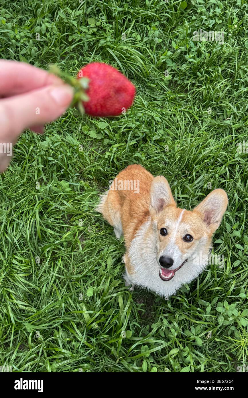 Human tra hi-res stock photography and images - Alamy