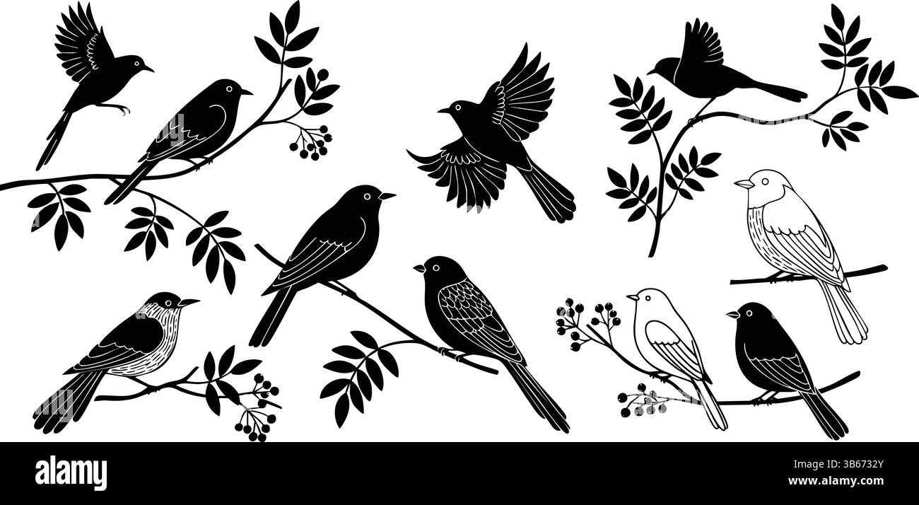 Sparrow Silhouettes Vector Set: Black and Outline Birds on Branches ...