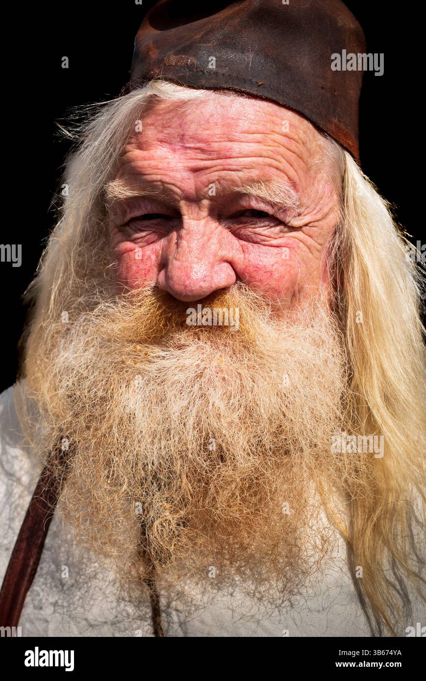 Bearded medieval man hi-res stock photography and images - Alamy