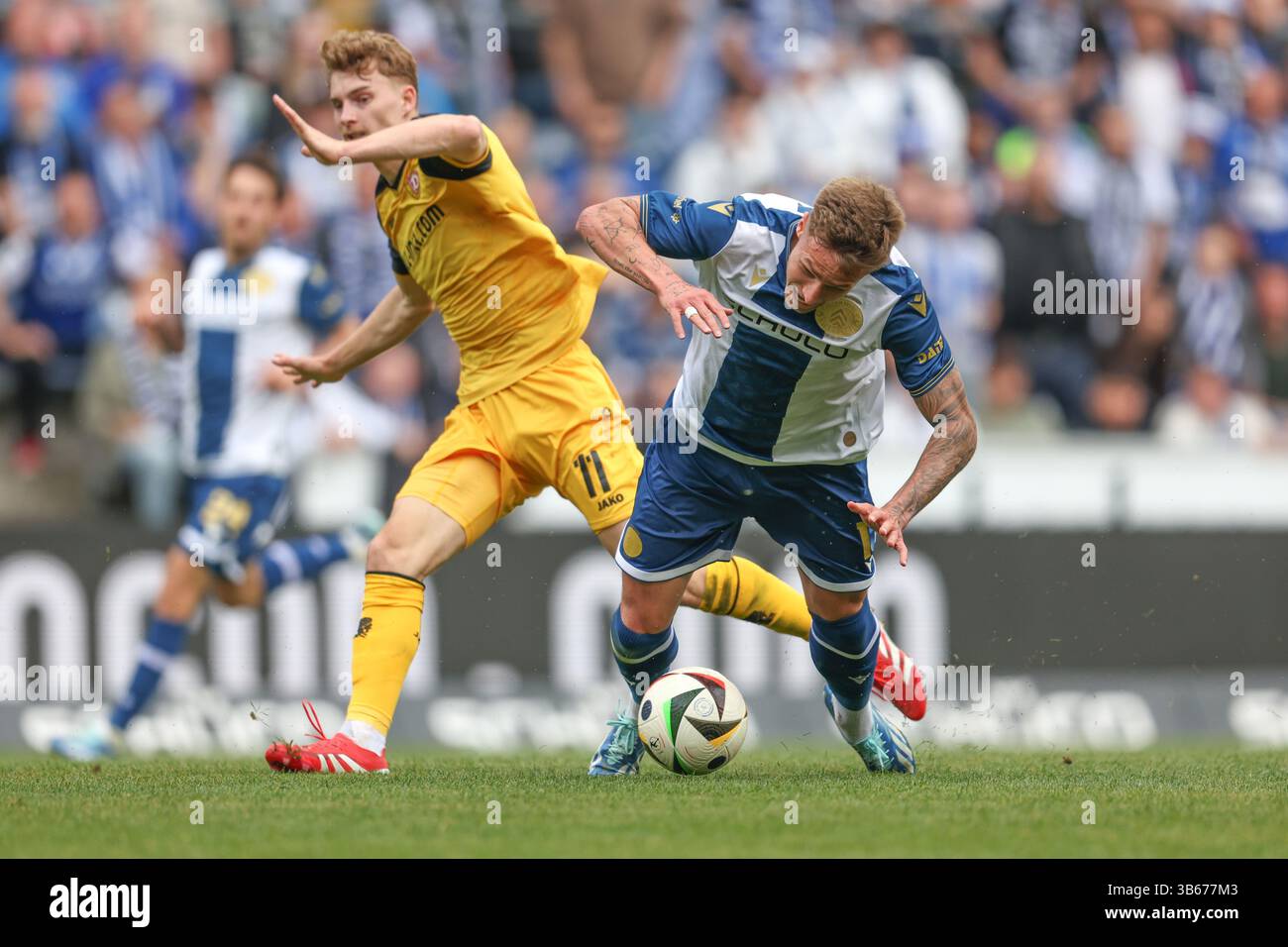 Bielefeld, Germany. 03rd May, 2025. Soccer: 3rd division, Arminia Bielefeld - Dynamo Dresden ...