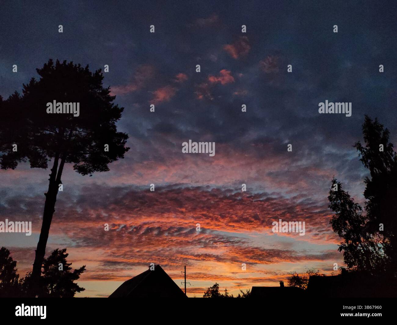 Dramatic sunset sky with tree silhouettes Stock Photo - Alamy