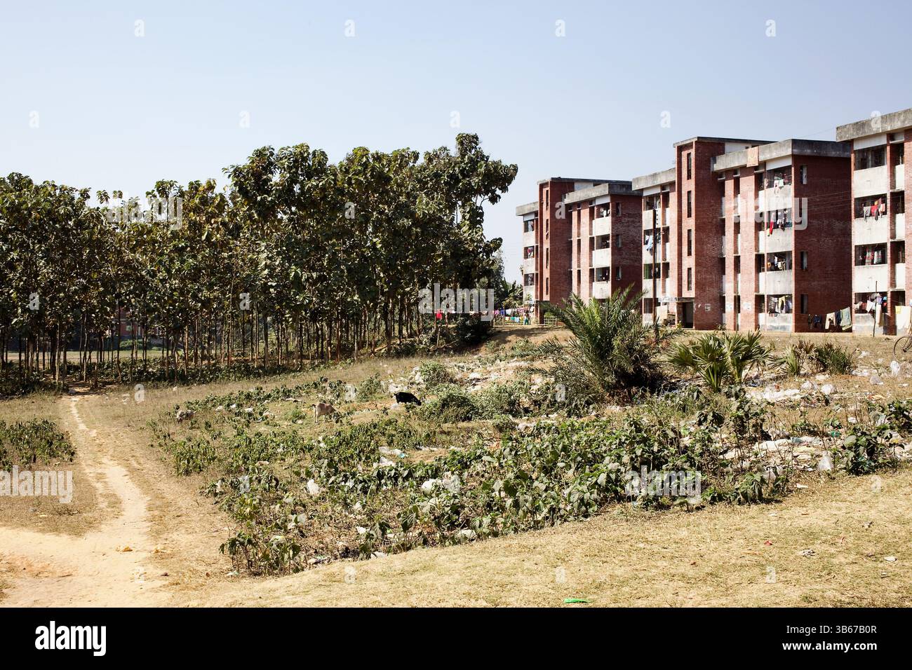 Red-brick staff housing blocks with surrounding open land and trees at ...