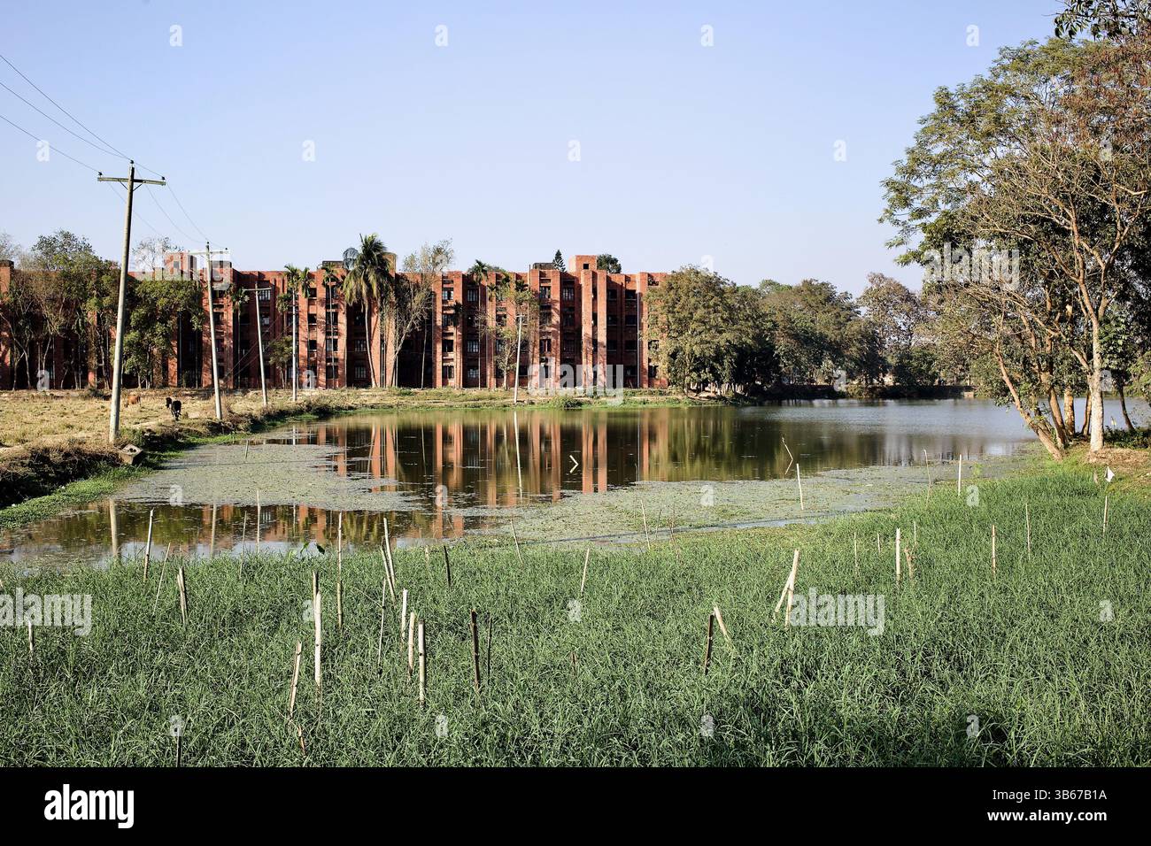 A pond fringed by grasses with Jahangirnagar University’s red-brick ...