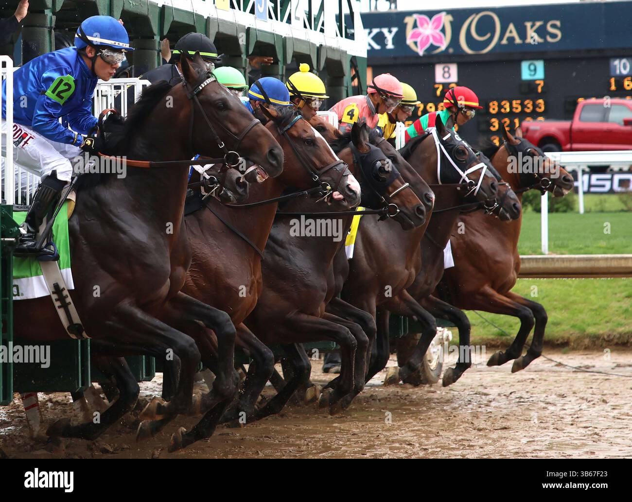Louisville, United States. 03rd May, 2025. The horses are out of the ...