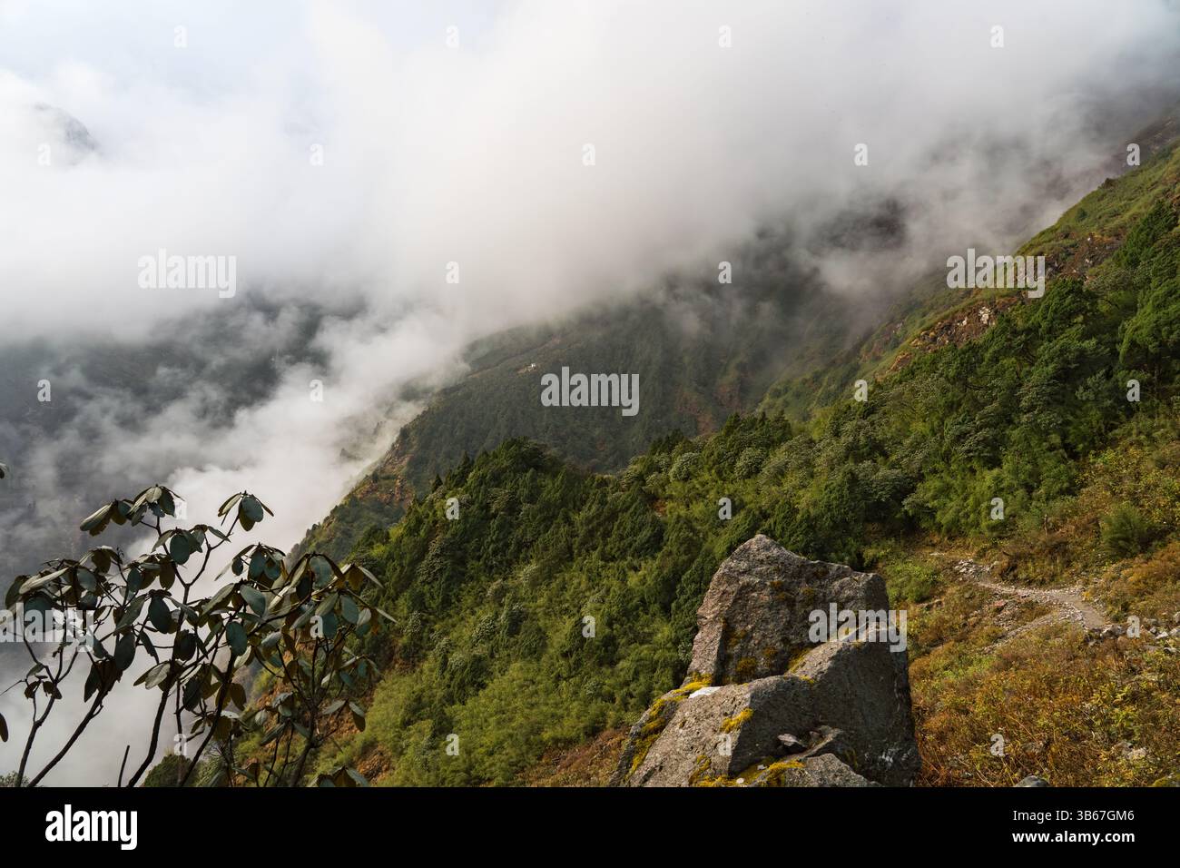 Foggy Hillside Landscape in the Green Himalayas at Upper Ghopte High ...