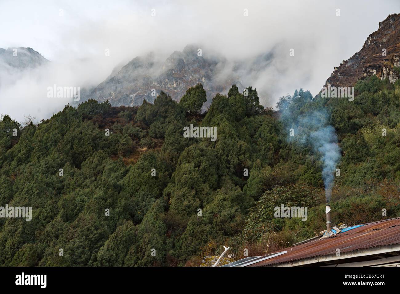 Foggy Hillside Landscape in the Green Himalayas at Upper Ghopte High ...