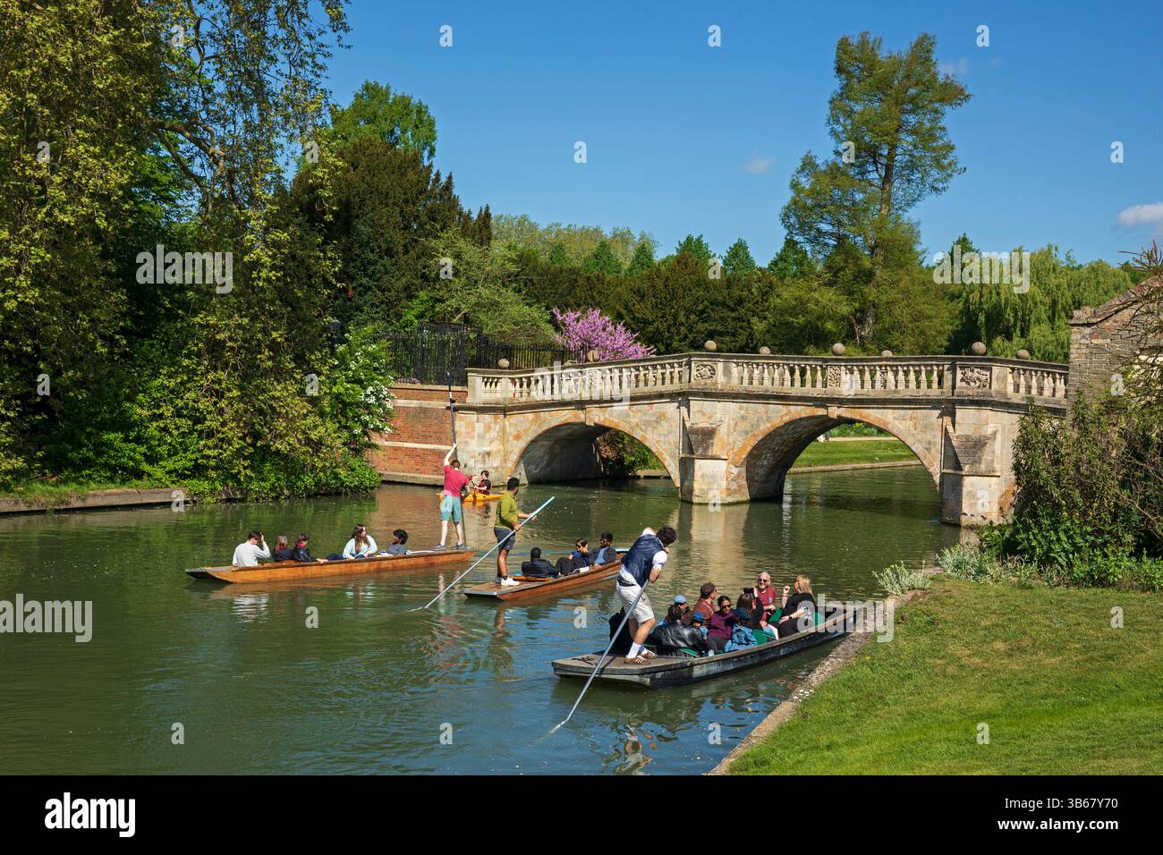 River Cam punting, Cambridge, England, UK. 3rd May 2025. Tourist ...