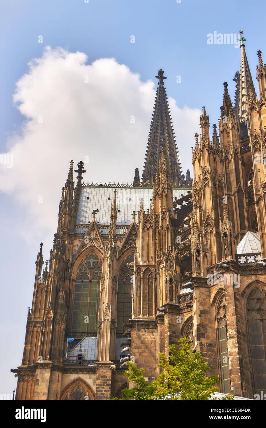 Cologne Cathedral - Gothic Architecture with Detailed Spires Against a ...