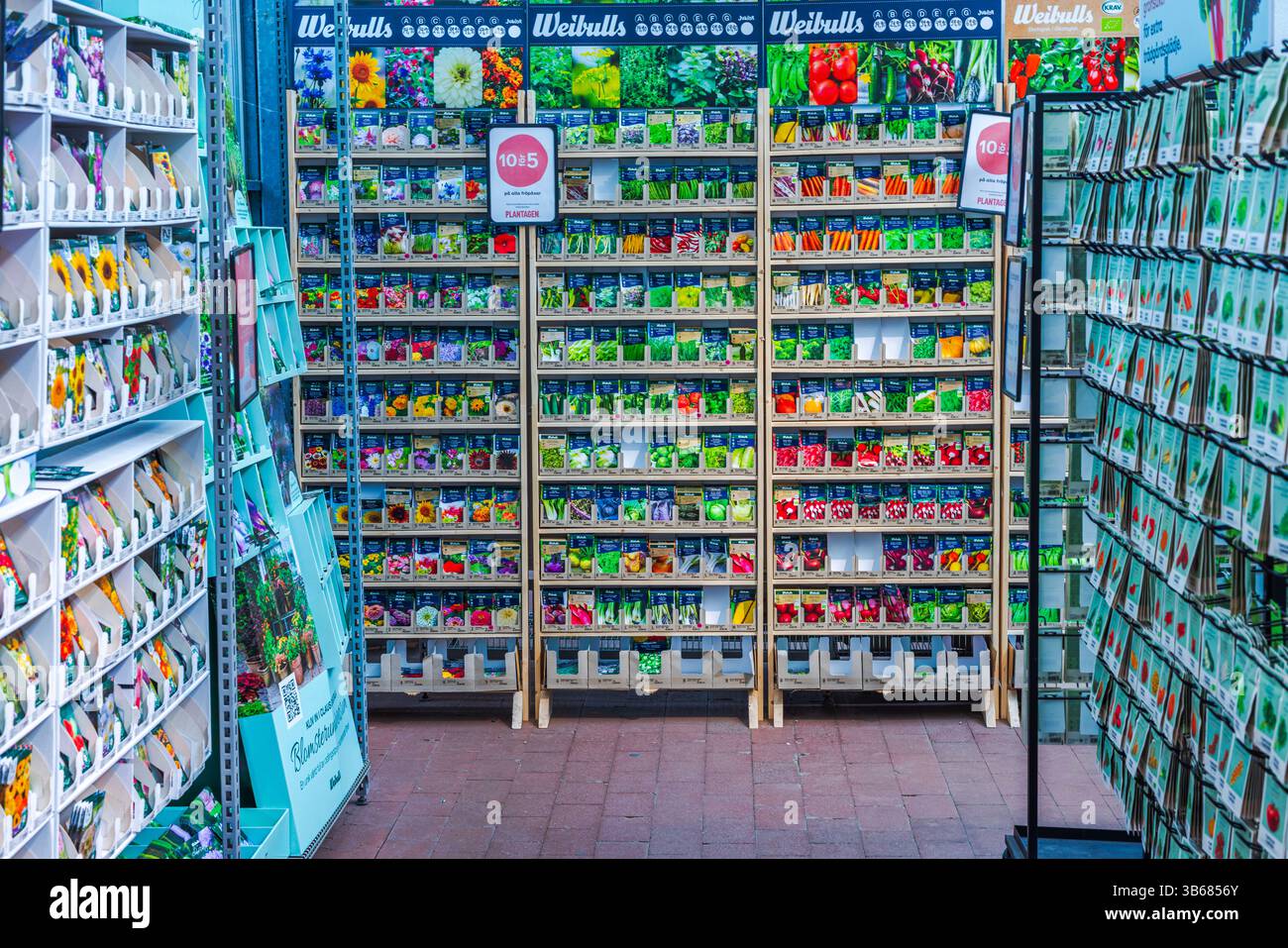 Vegetable stock in trays hi-res stock photography and images - Alamy