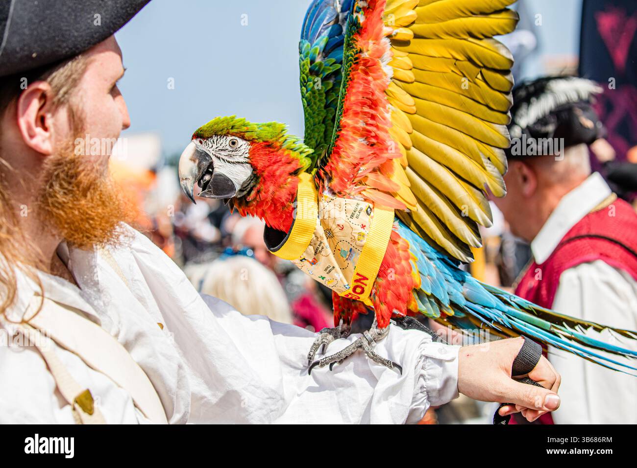 Brixham, Devon, UK. 3rd May, 2025. Pirates descend on The Brixham ...