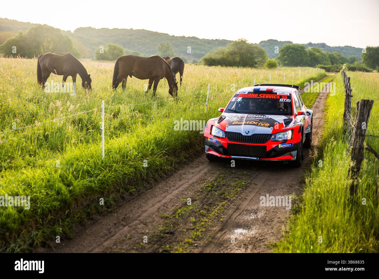 06 RABASSE Cedric, RABASSE Sabrina, Skoda Fabia R5, action during the ...