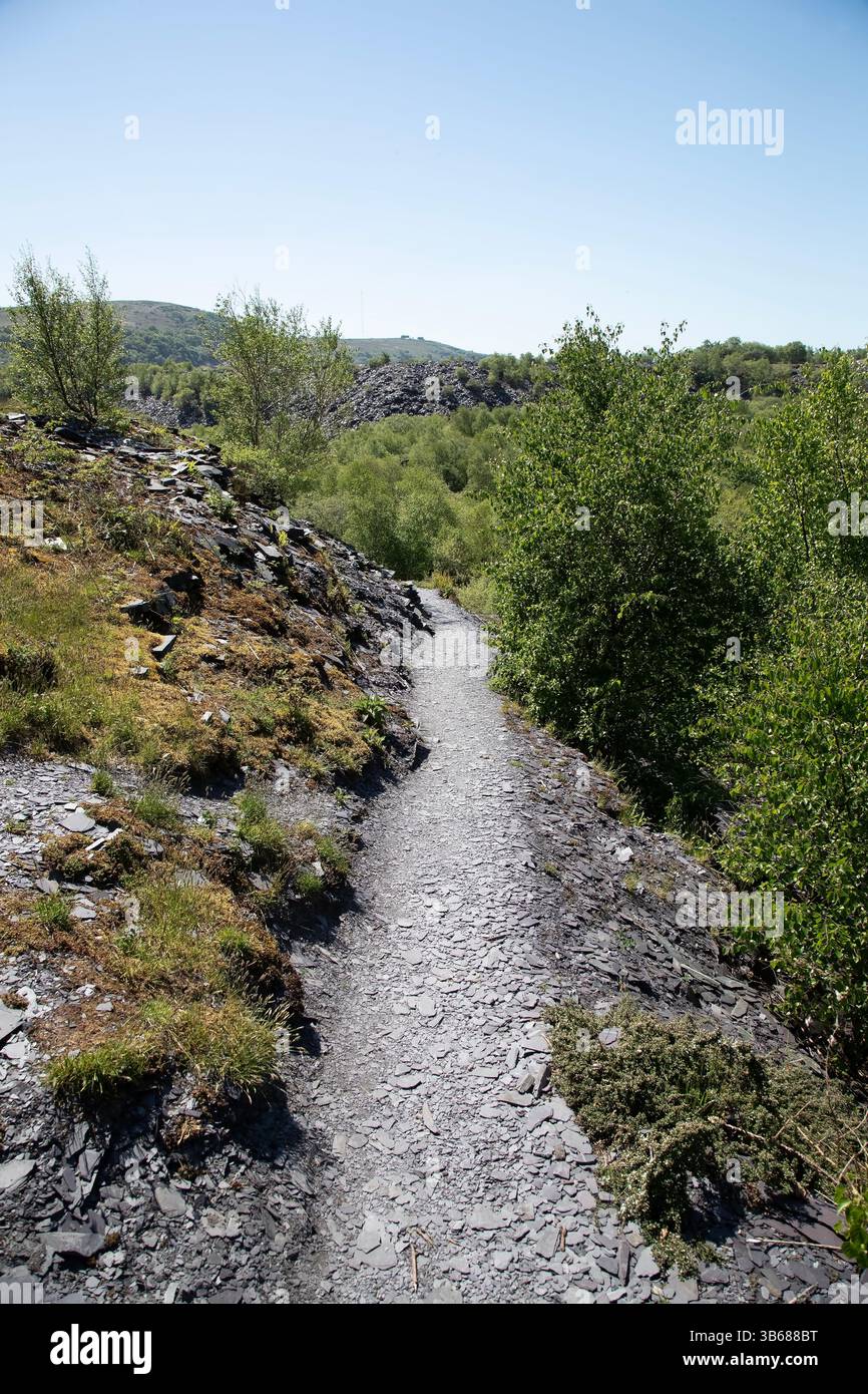 A rough slate covered path winds its way through the abandoned Dorothea ...