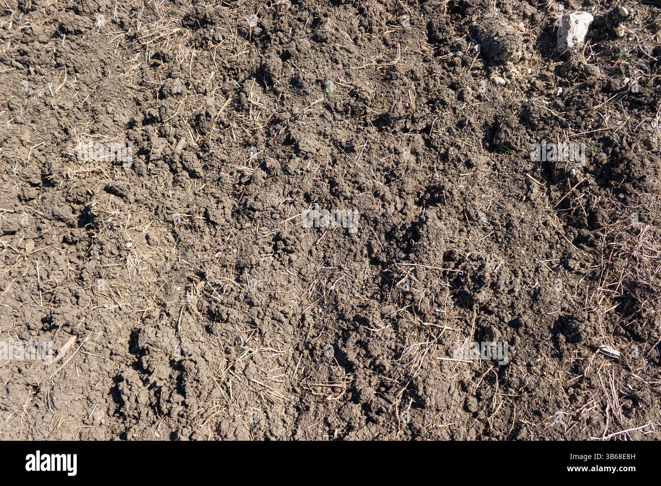Soil texture, woodland, natural background. Flat lay texture Stock ...