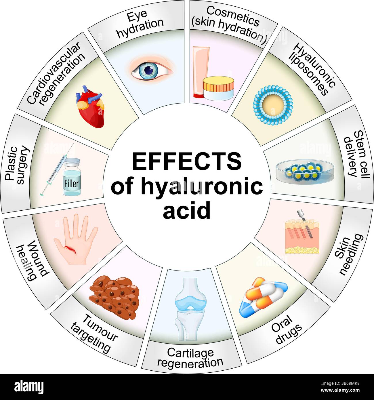 Hyaluronan acid hi-res stock photography and images - Alamy