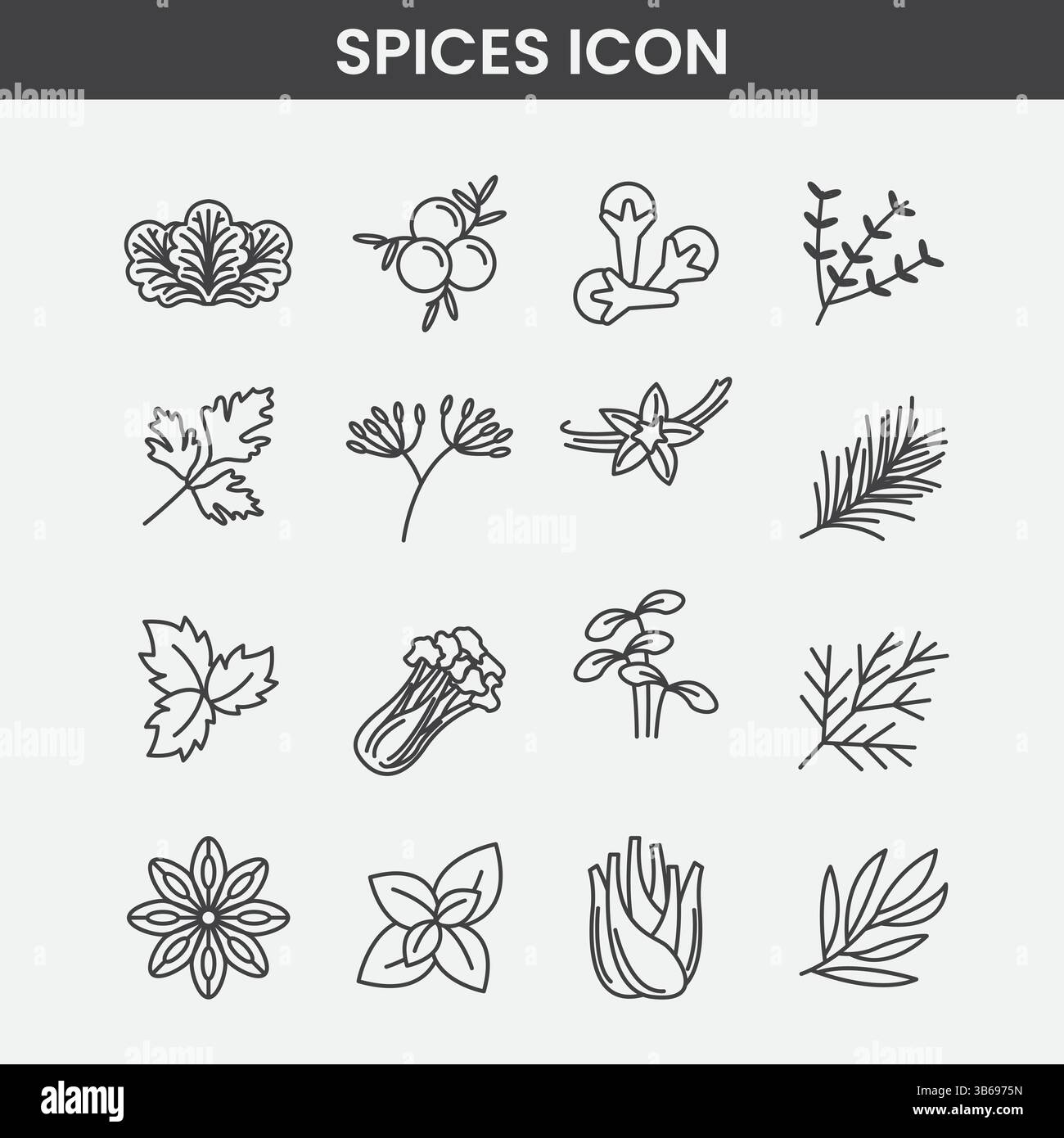 Minimalist Spice and Herb Icons, Black and White Line Vector Set for ...