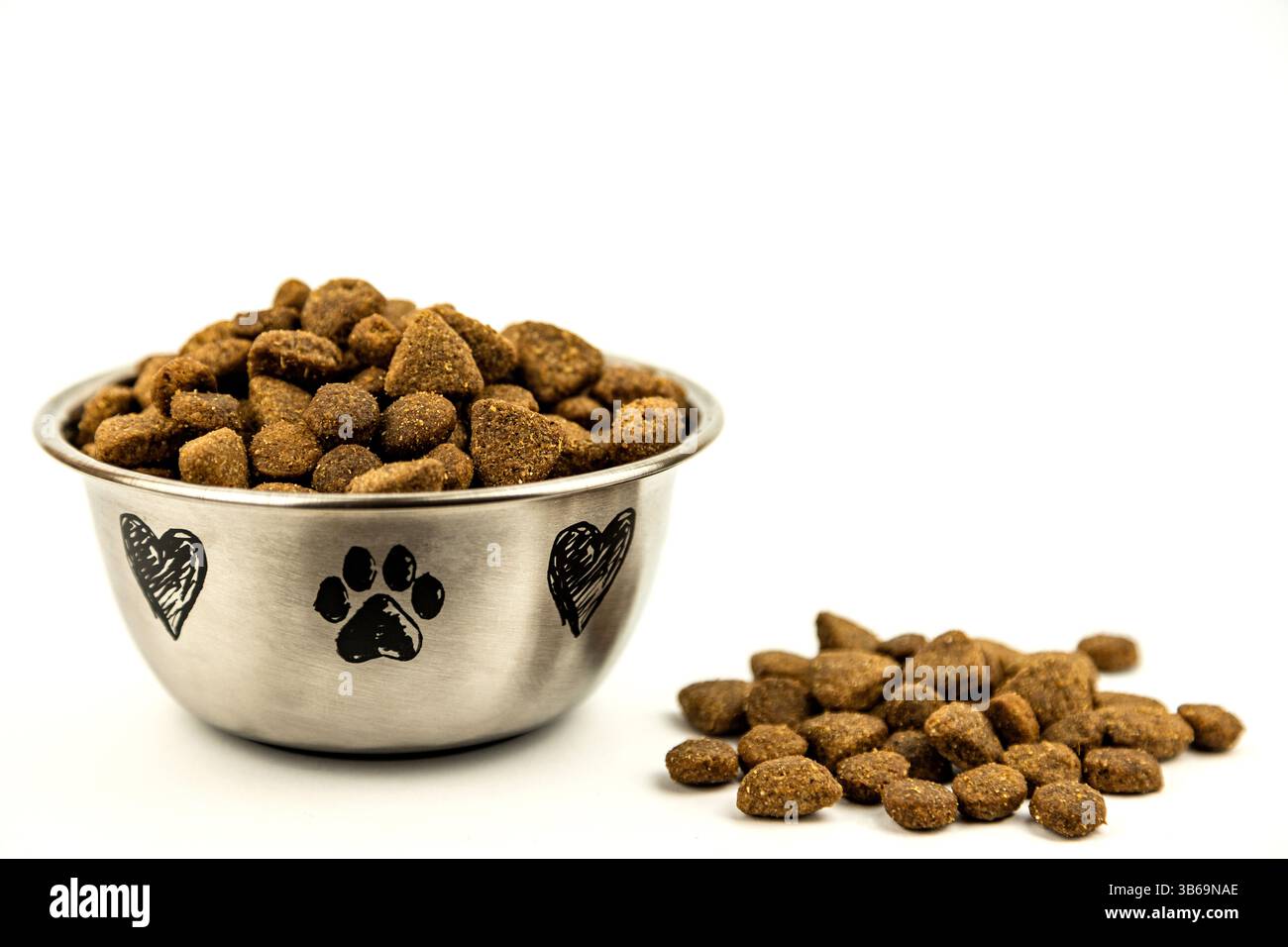 Dry pet food in a steel plate. Plate Filled With Dog Food On White ...