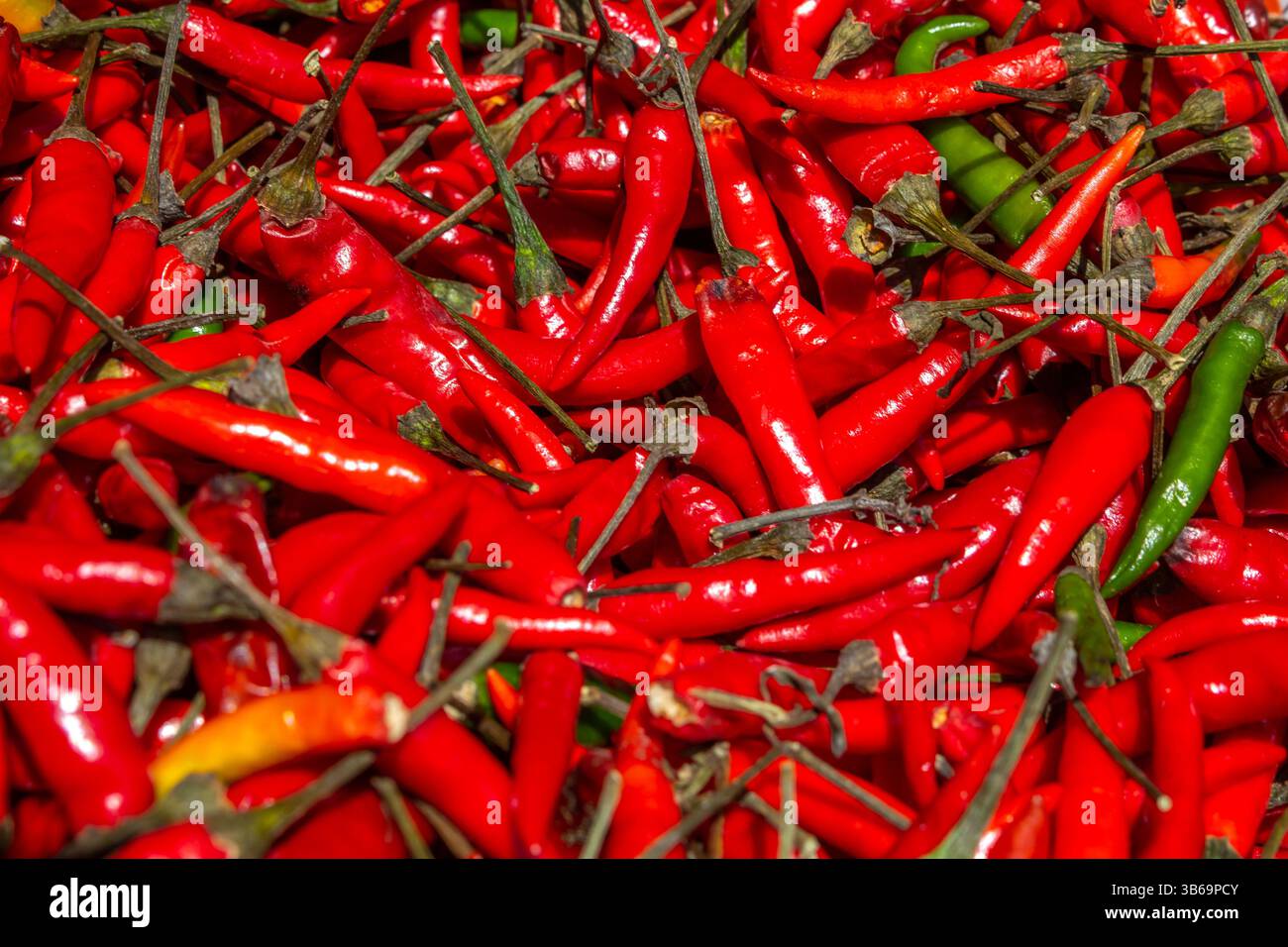 Birds eye view healthy crop hi-res stock photography and images - Alamy