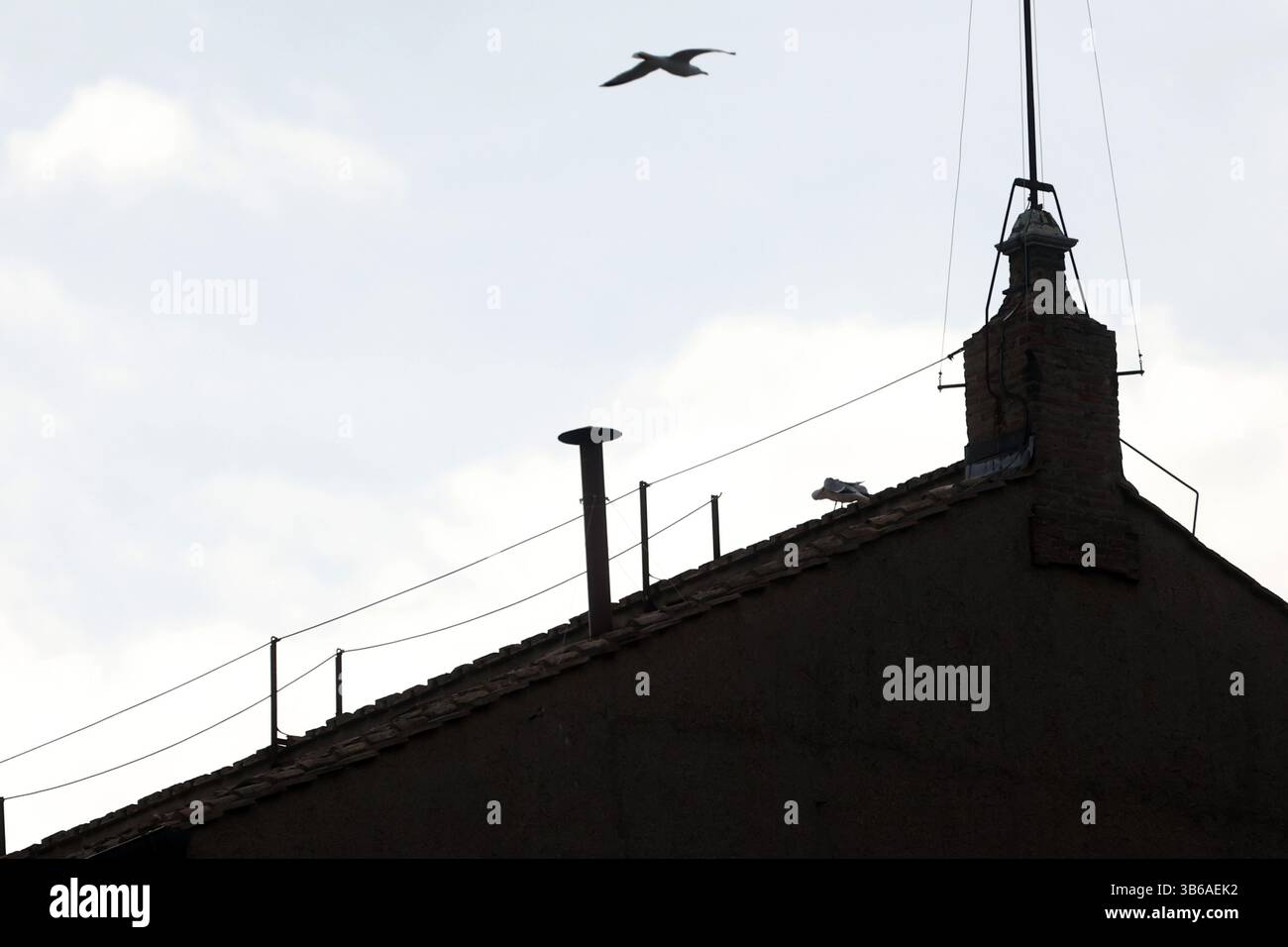 Rome, Italy. 03rd May, 2025. Vatican City, Italy 05/03/2025: The smoke ...