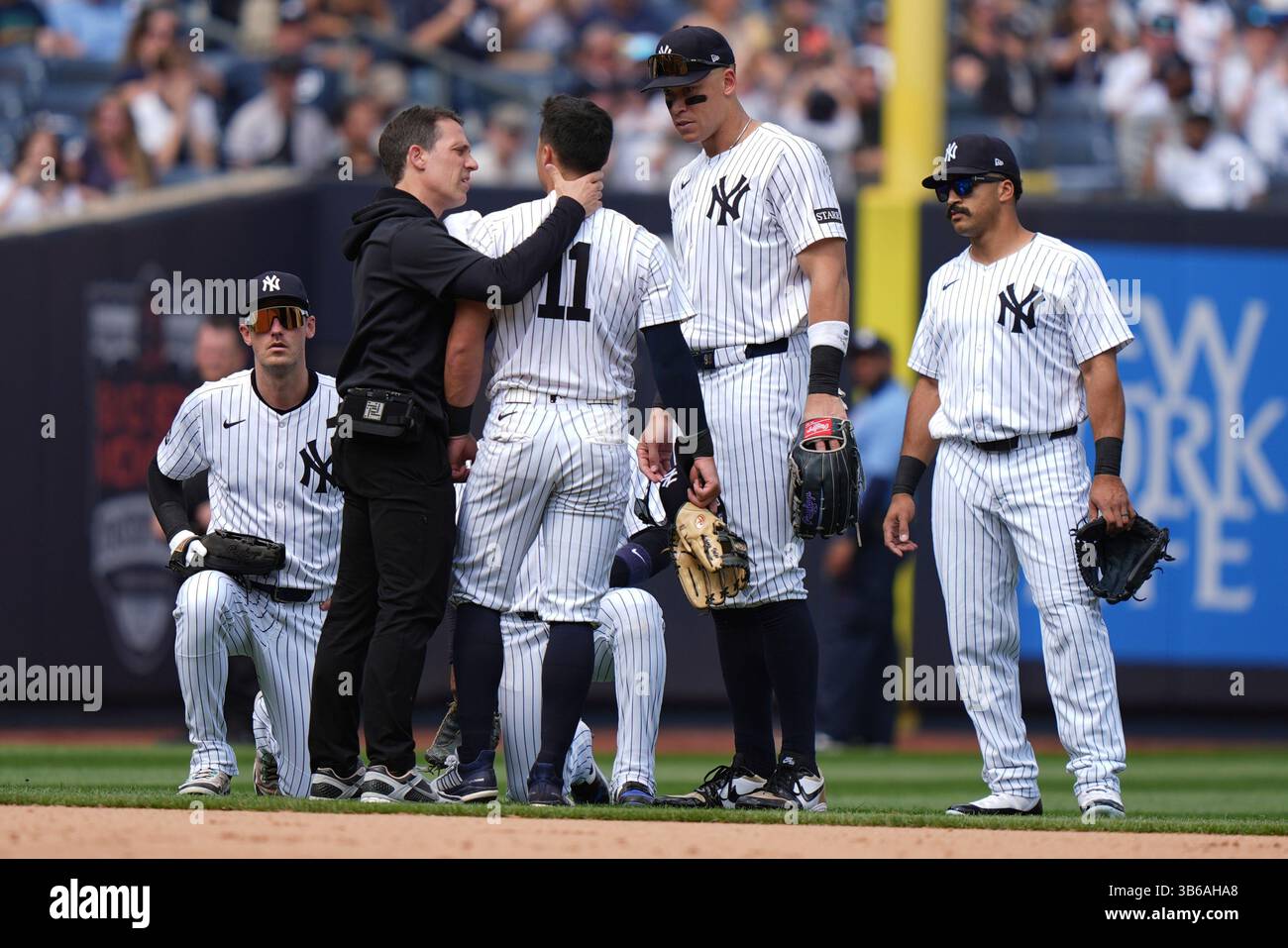 New York Yankees' Trent Grisham, right, and Aaron Judge, second from right watch as a trainer ...