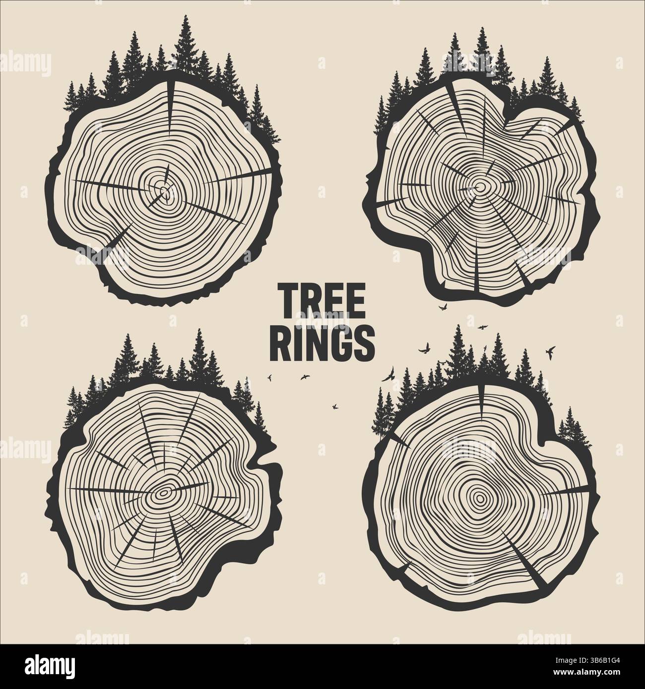 Round tree trunk cuts with trees, forest and birds. Sawn pine or oak ...