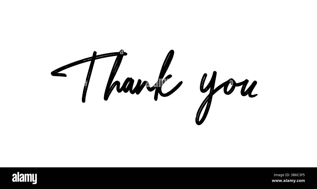 Thank you text background vector calligraphy script font. Thank you ...