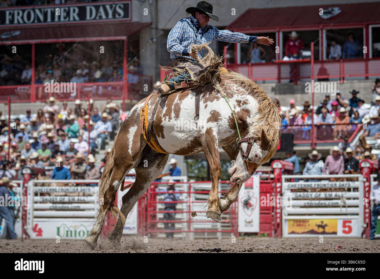 July 25, 2022, Cheyenne, Wyoming, USA: Saddle Bronc rider hangs on ...
