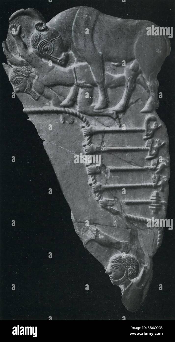 The Bull Palette is the fragment of an ancient Egyptian greywacke ...