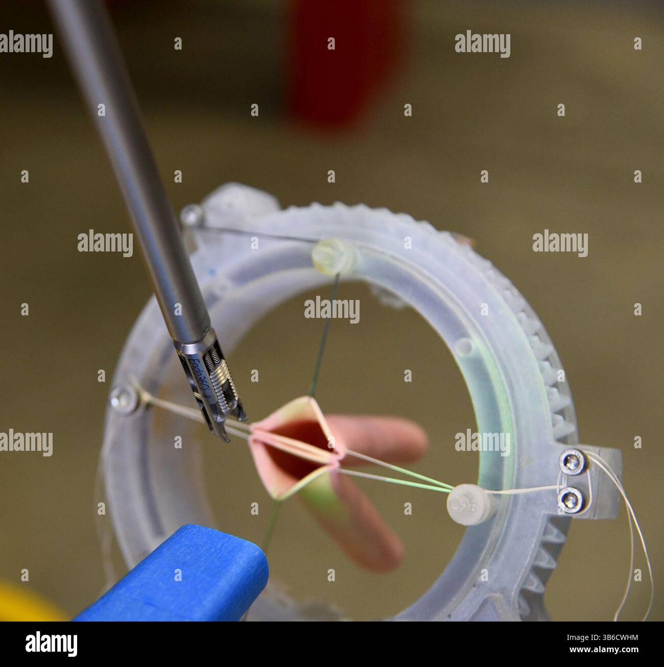 March 22, 2022: A team of mechanical engineers from Johns Hopkins ...