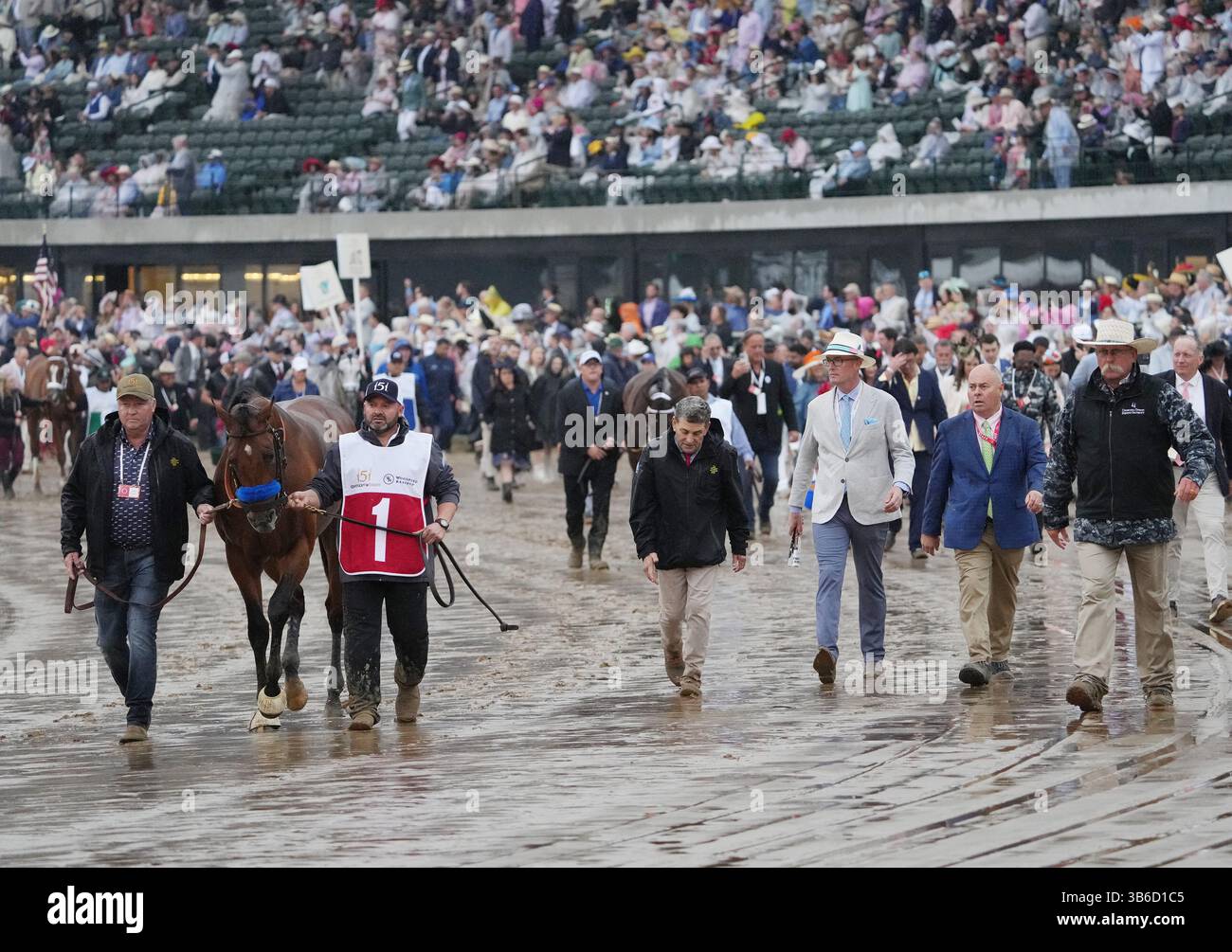 Citizen bull horse hi-res stock photography and images - Alamy