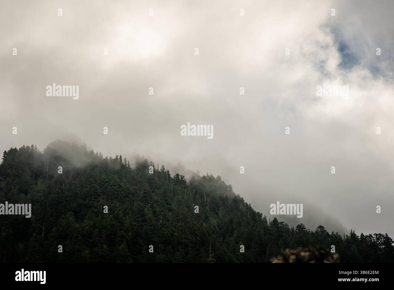 Thick Clouds Hang Low Over Mount Rainier National Park Stock Photo - Alamy