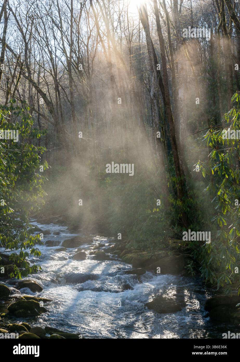 Thin fog rising over hi-res stock photography and images - Alamy