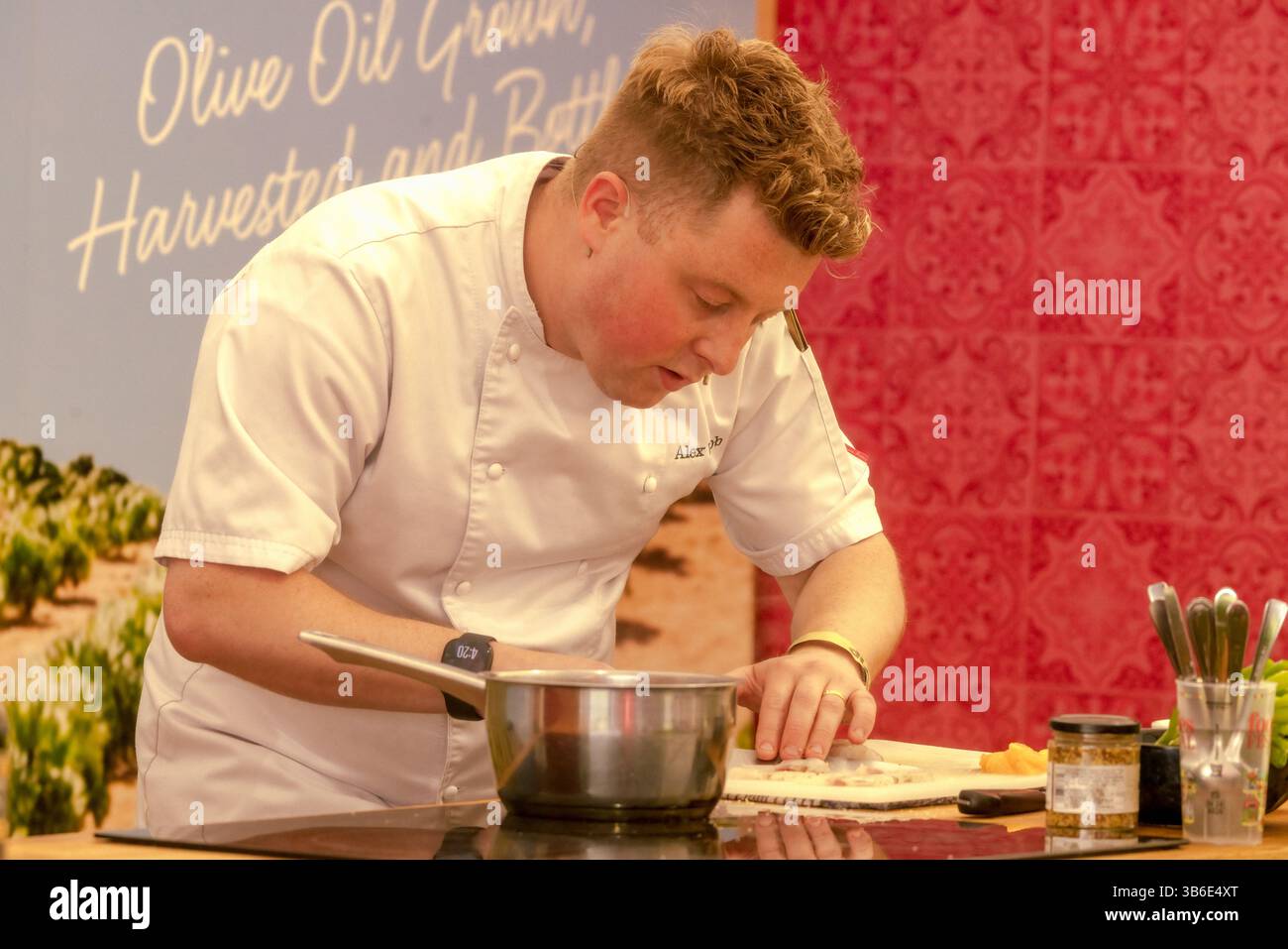 Preston Park, Brighton, City of Brighton & Hove, East Sussex, UK. A ...