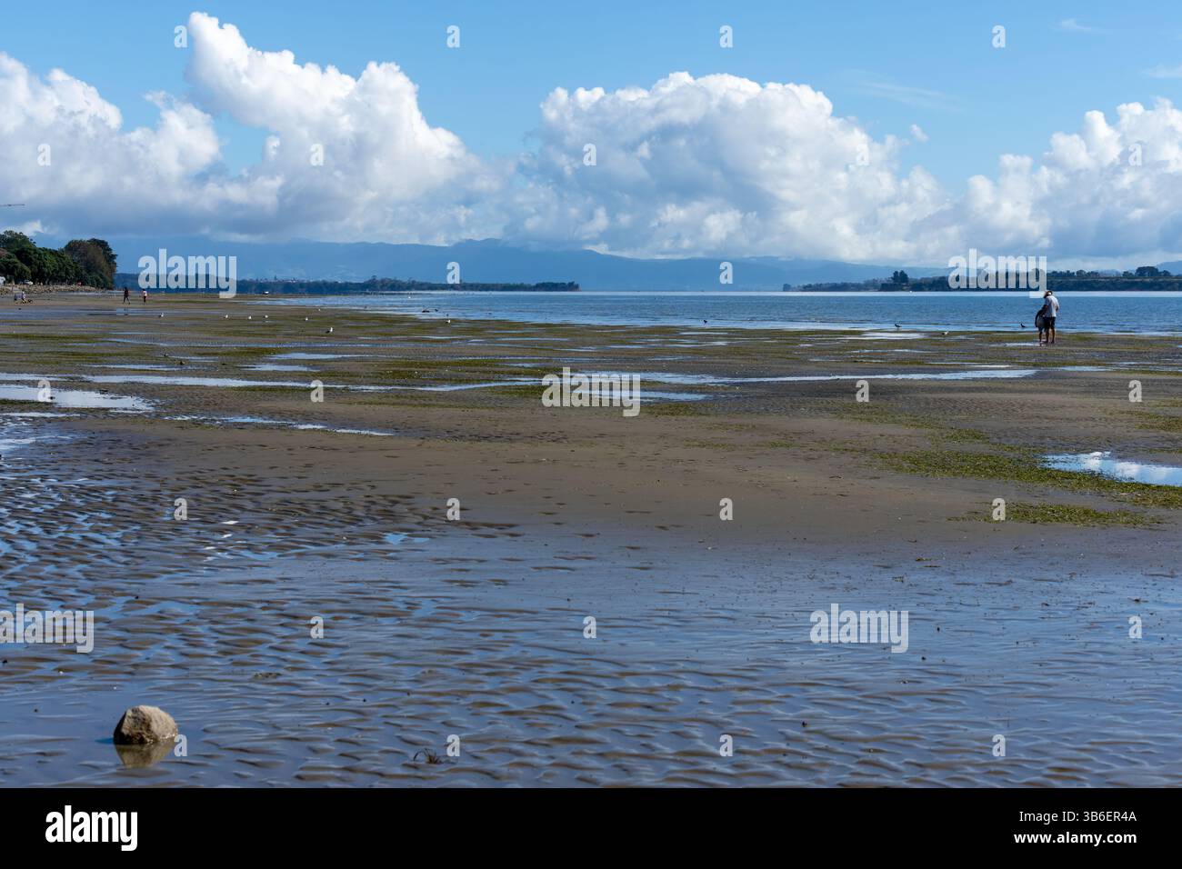 Tauranga New Zealand - April 2 2023; Low tide at Kulim Park waterfront ...