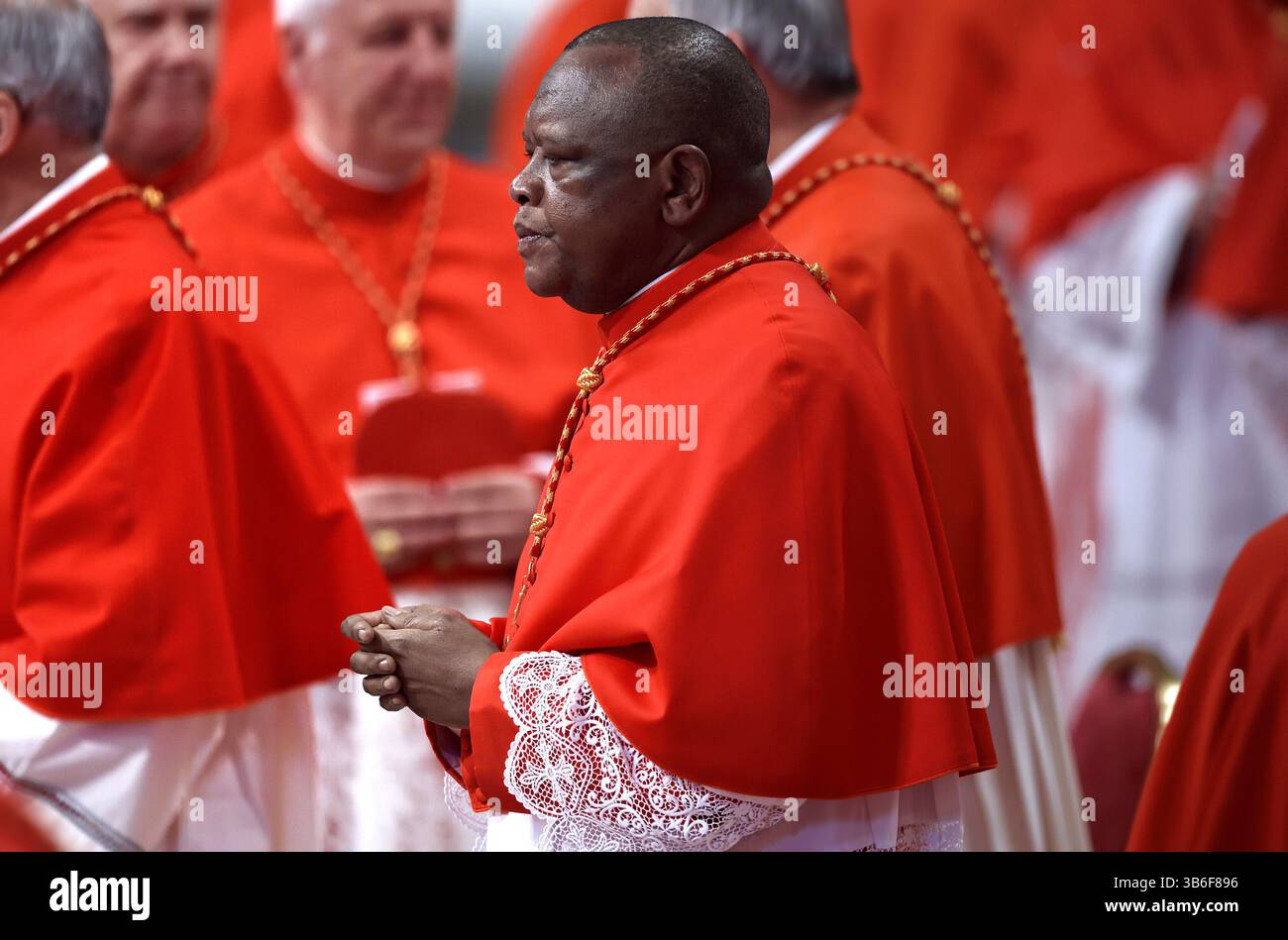 Vatican City State, Vatikanstadt. 03rd May, 2025. Cardinal Fridolin ...