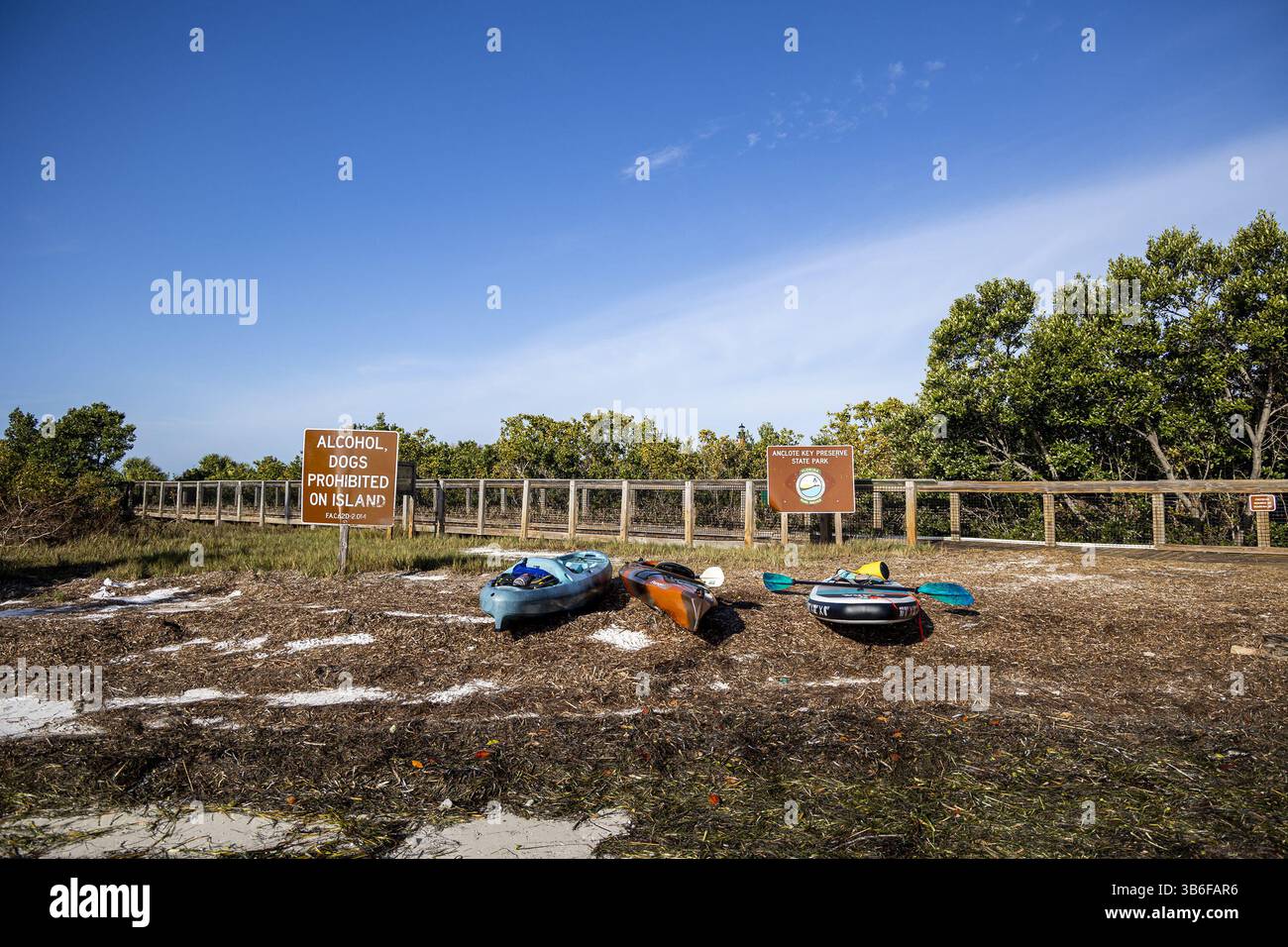 December 10, 2023, Tarpon Springs, Florida, USA: Paddling from Fred ...