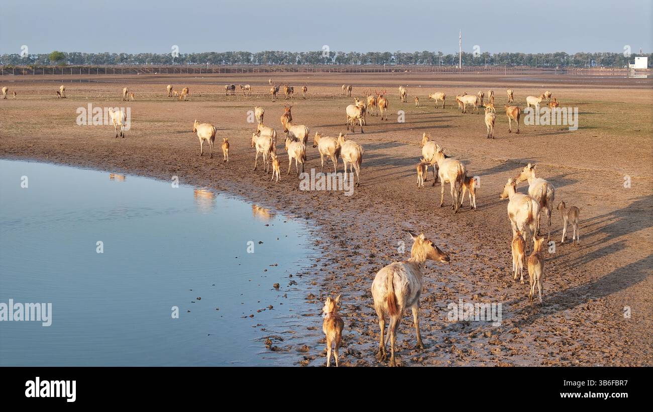 YANCHENG, CHINA - MAY 4, 2025 - Tourists are playing in the tidal flats ...