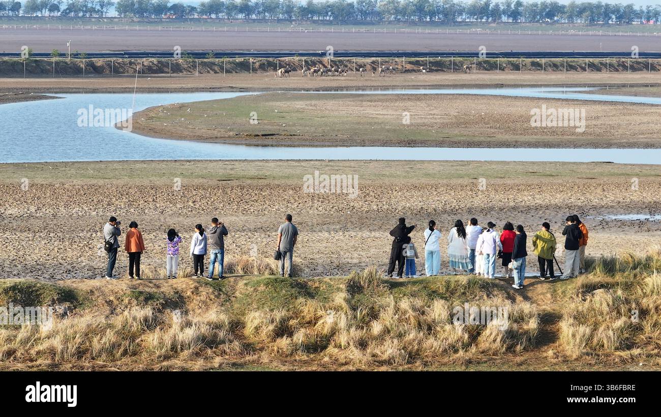 YANCHENG, CHINA - MAY 4, 2025 - Tourists are playing in the tidal flats ...