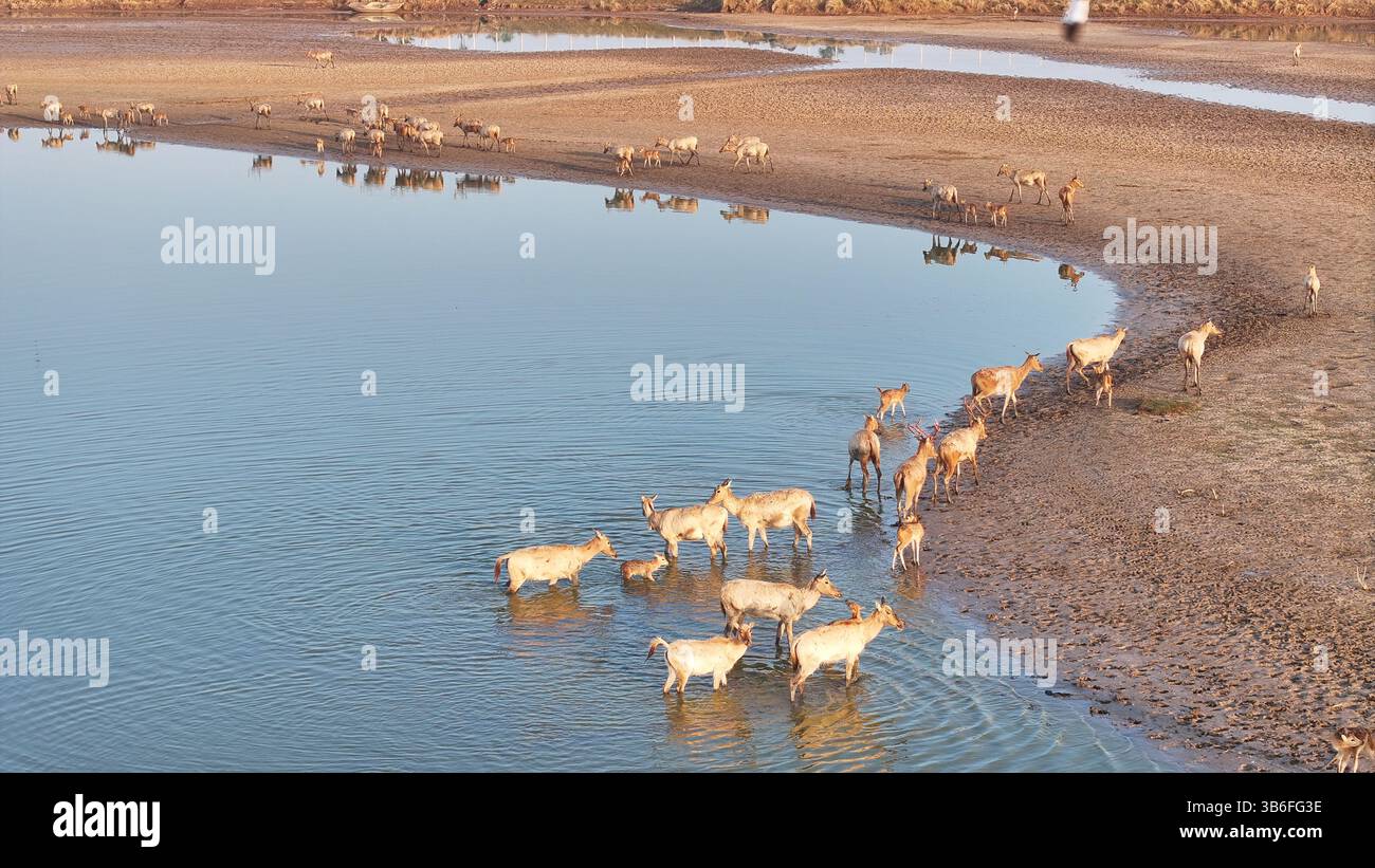 Yancheng, China. 04th May, 2025. YANCHENG, CHINA - MAY 4, 2025 ...