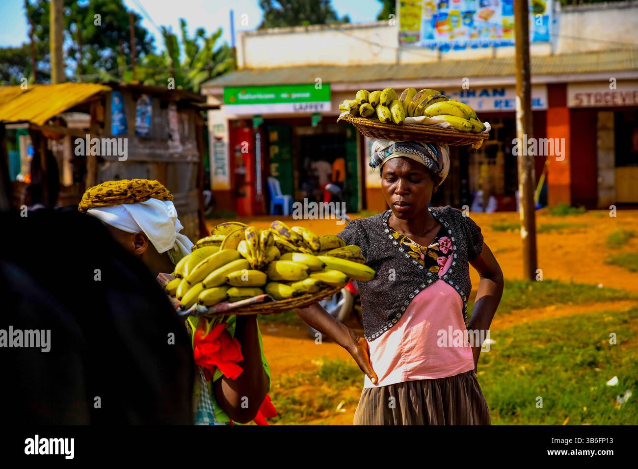 Kodiaga hi-res stock photography and images - Alamy