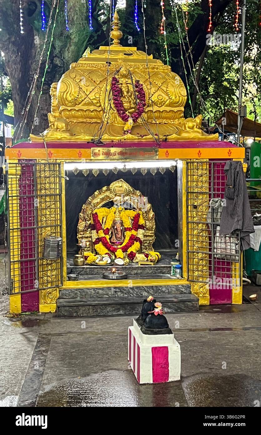 Birth of lord ganesh hi-res stock photography and images - Alamy