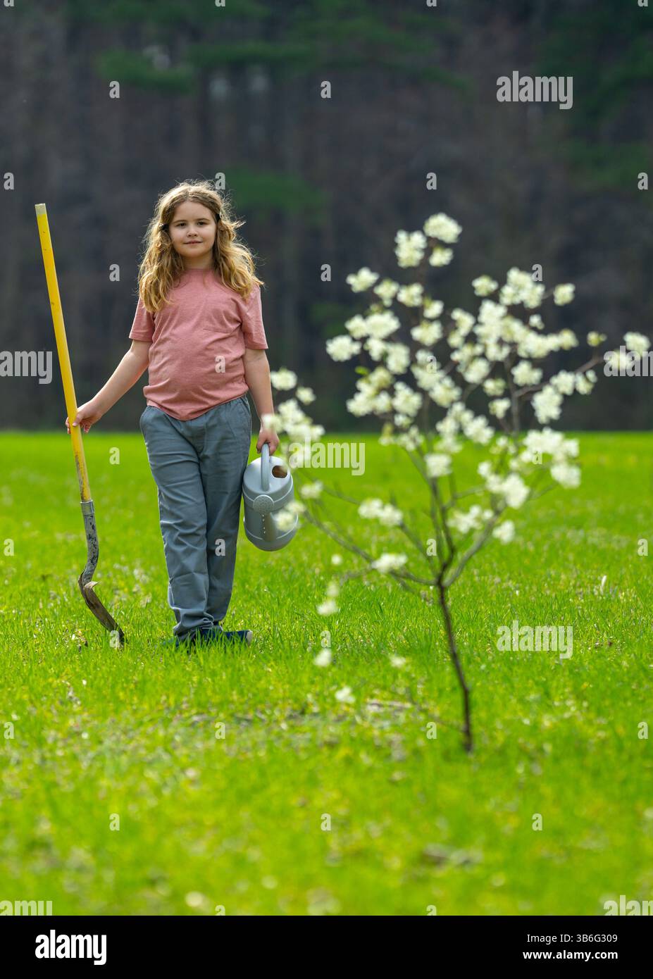 Child planting a spring tree on orchard. Kids grow up fruit tree. Kid ...