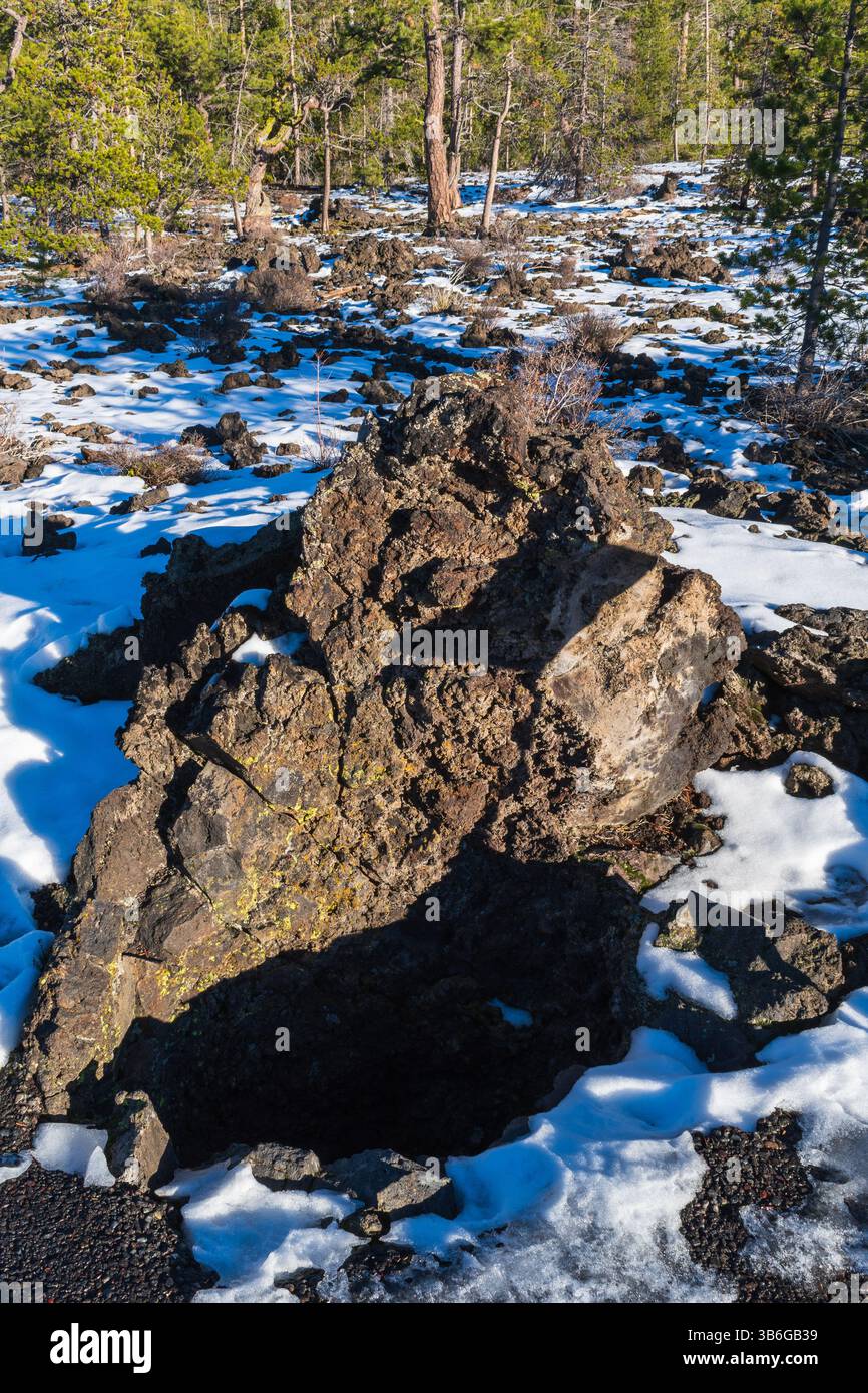 A lava tree mold is seen along the Lava Cast Forest Trail in Newberry ...