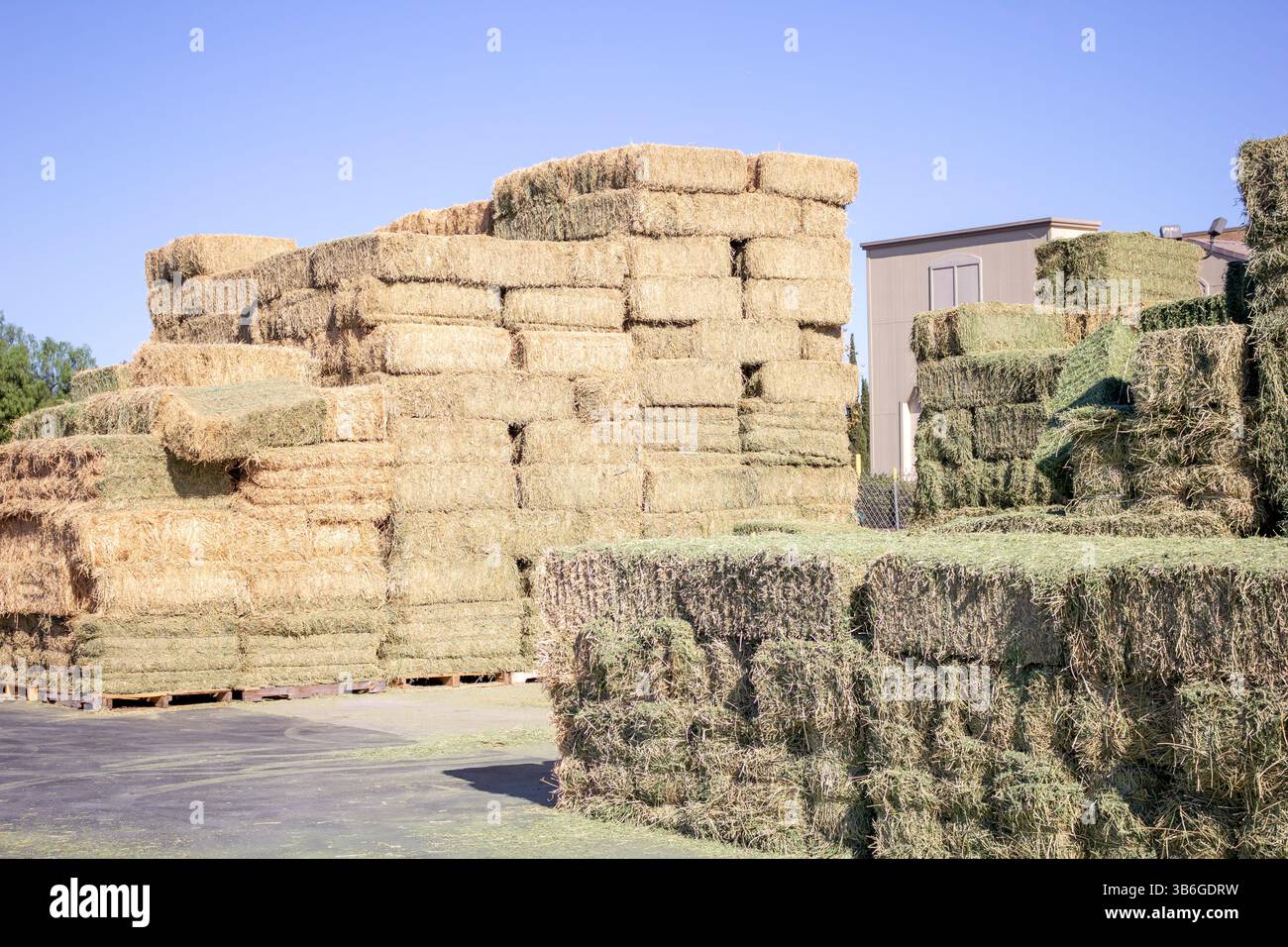 A view of a large haystack at a commercial feed and supply retail lot ...