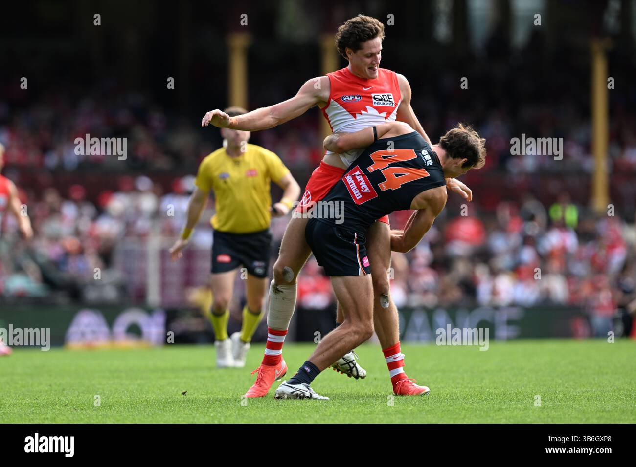 Sydney, Australia. 04th May, 2025. Jack Buckley of the Giants and Will ...