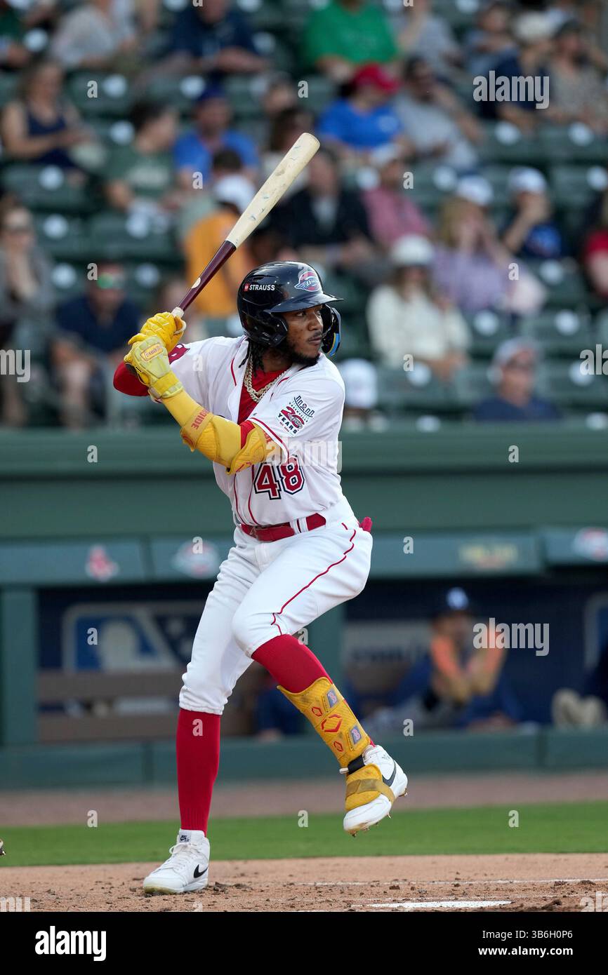 Miguel Bleis (48) of the Greenville Drive at bat in a South Atlantic ...