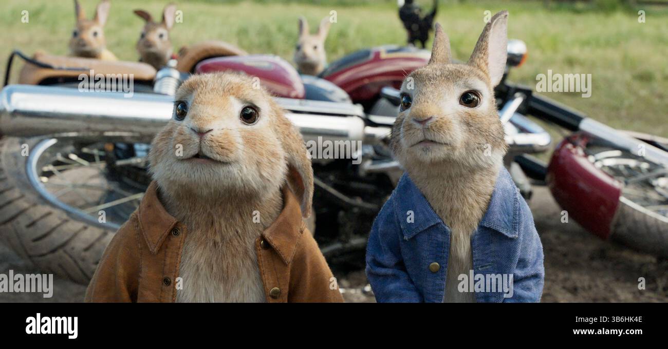 2018 peter rabbit february 9 hi-res stock photography and images - Alamy