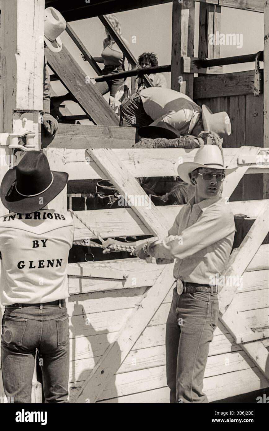 Cowboys in the chute at the Dog Pound Rodeo, circa 1982, Alberta Canada ...