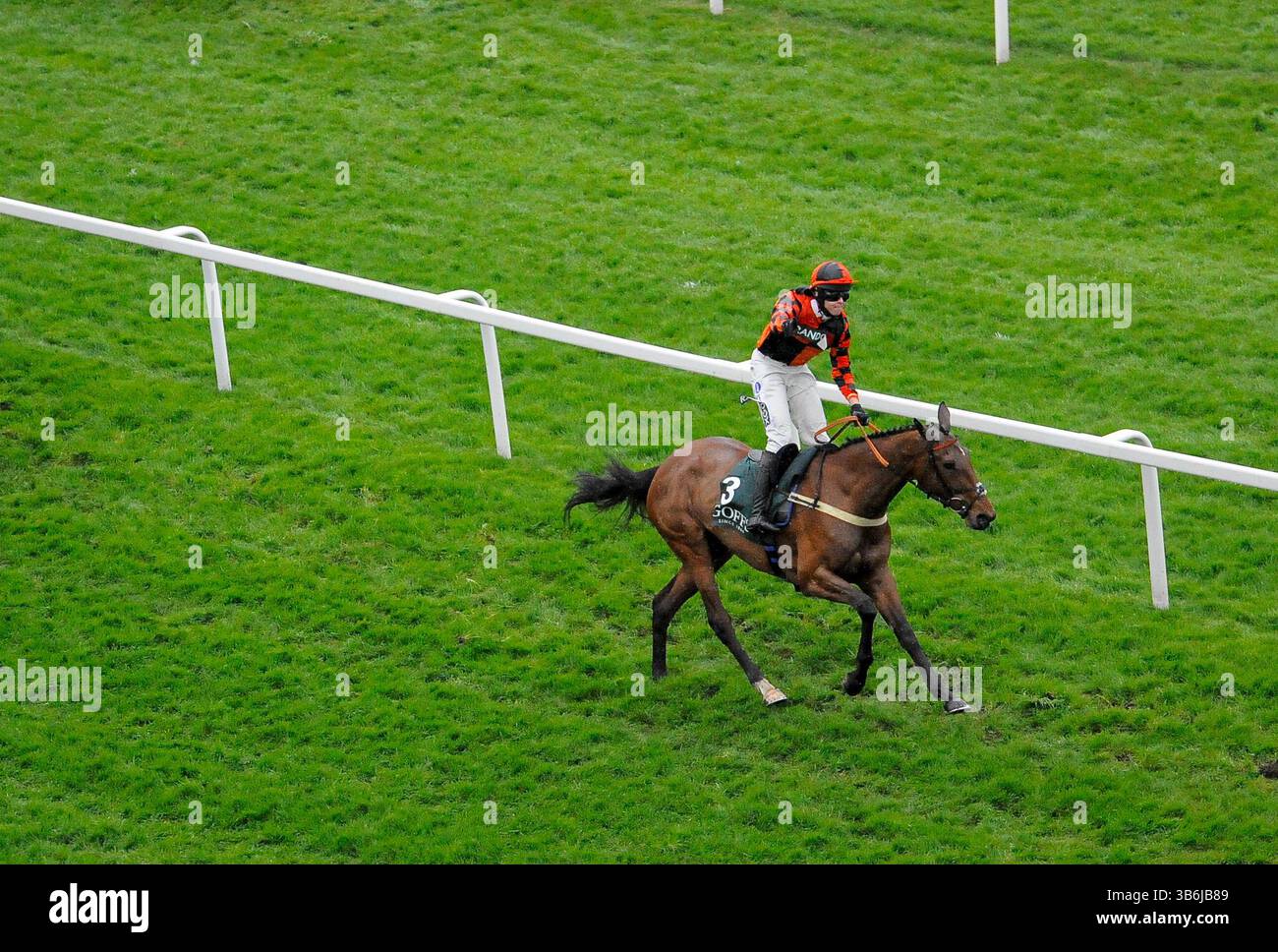 2024 randox grand national festival hi-res stock photography and images ...